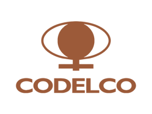 ICA India Members - Our Partners